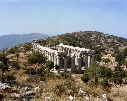 Ναός Επικούριου Απόλλωνα - Εφορεία Αρχαιοτήτων Ηλείας