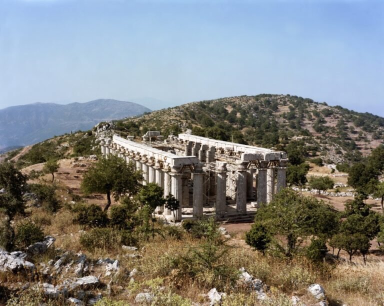 Ναός Επικούριου Απόλλωνα - Εφορεία Αρχαιοτήτων Ηλείας
